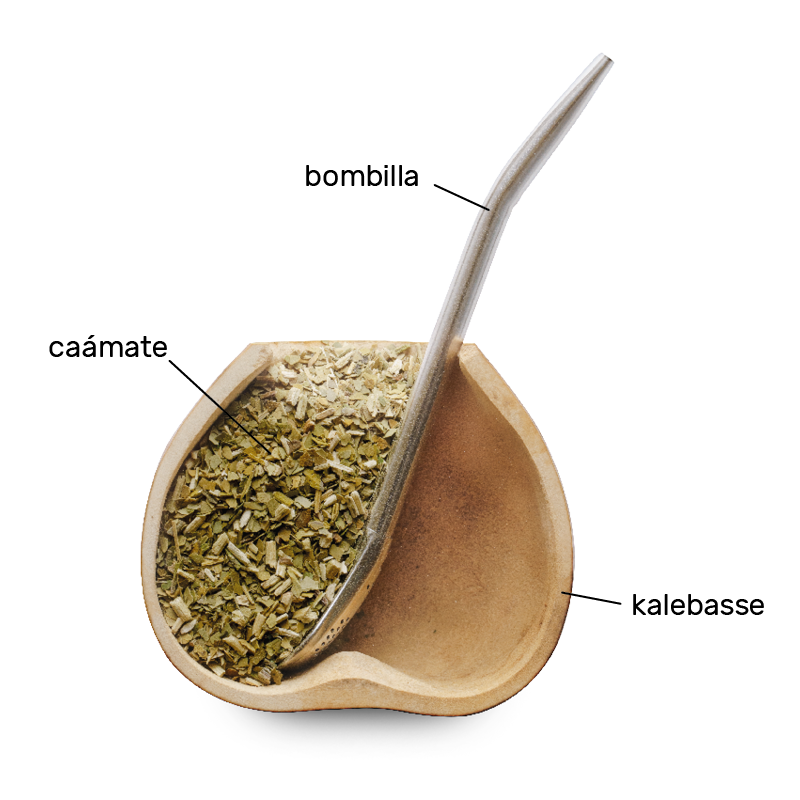 caámate – Mate Tee. Mehr als ein Getränk. – caamate.